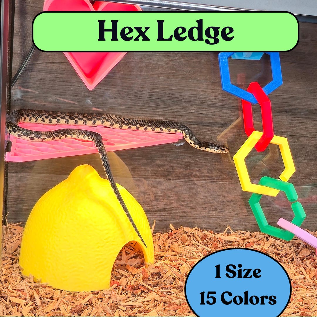 Snake Hex Ledge: Corner Climbing Platform Reptile Enrichment Habitat ...