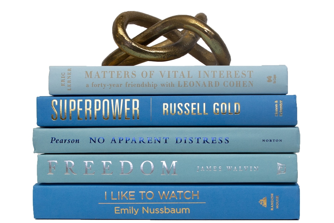 Blue Decorative Book Stacks | Perfect for Bookshelf Décor or Coffee ...