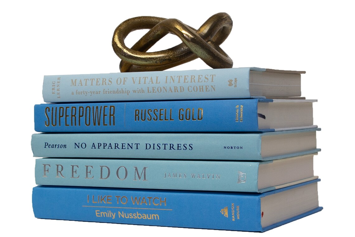 Blue Decorative Book Stacks | Perfect for Bookshelf Décor or Coffee ...