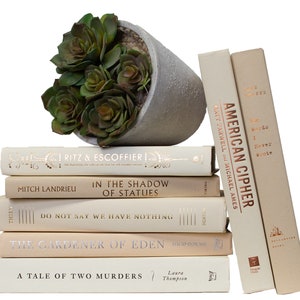 Tan Beige Decorative Books | Perfect for Bookshelf Décor or Coffee ...