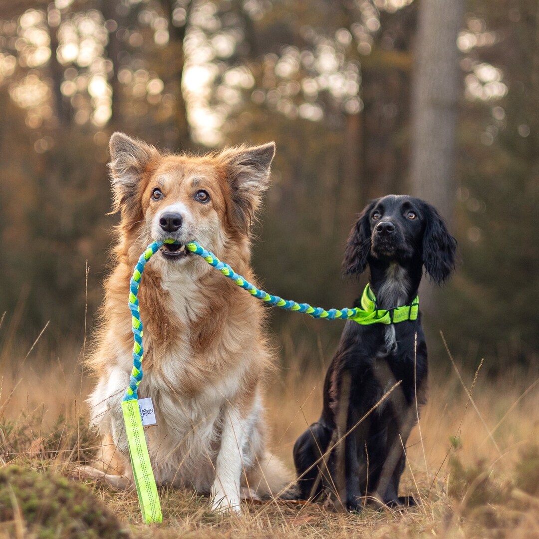 Agility Leash With Fleece Robust Dog Toy Dog Sport - Etsy