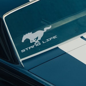 DecalsAndDesignsFL - Etsy