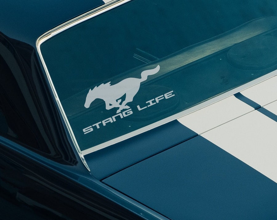 DecalsAndDesignsFL - Etsy