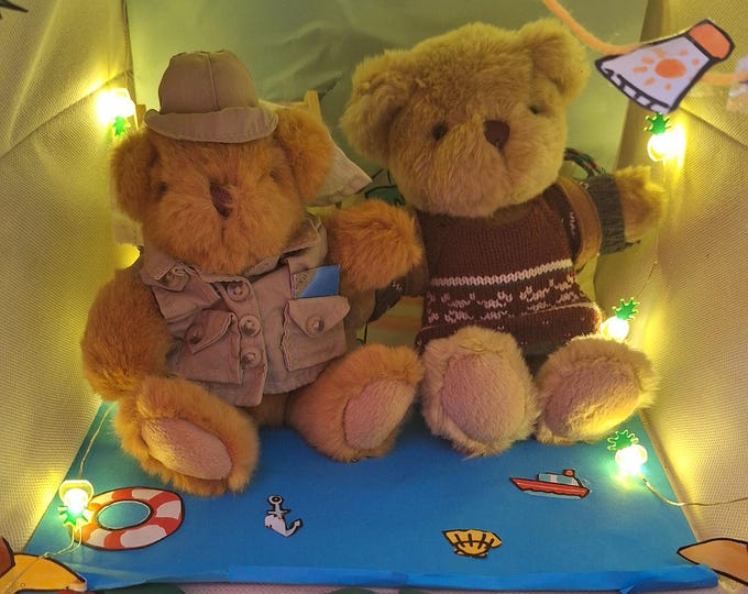 The Teddy Bear Collection Henry Hiker and Edmond the Explorer Teddy ...