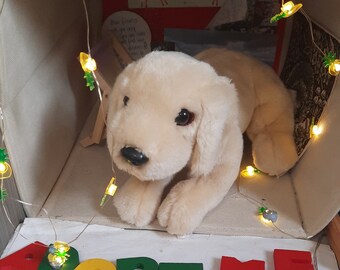 What Breed Of Dog Is The Andrex Puppy