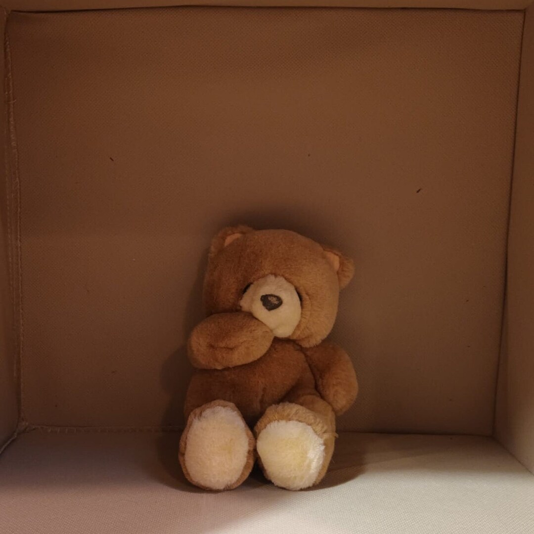 Small Brown Round Teddy Bear for Adoption - Etsy