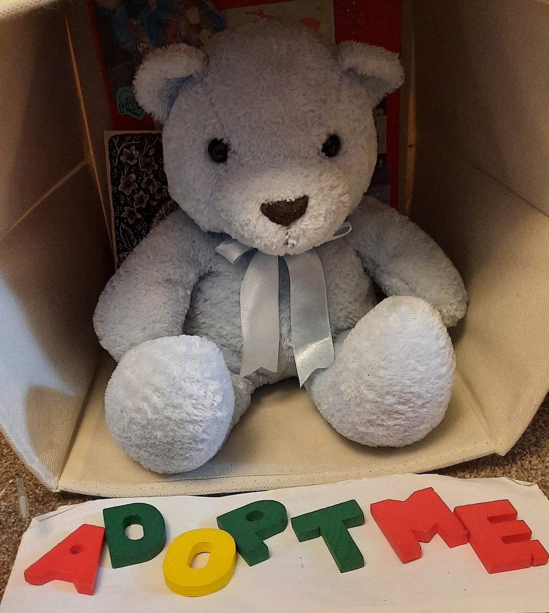 Pastel Blue Teddy Bear for Adoption - Etsy