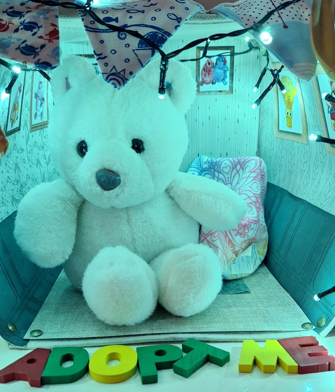 White Round Teddy Bear for Adoption - Etsy