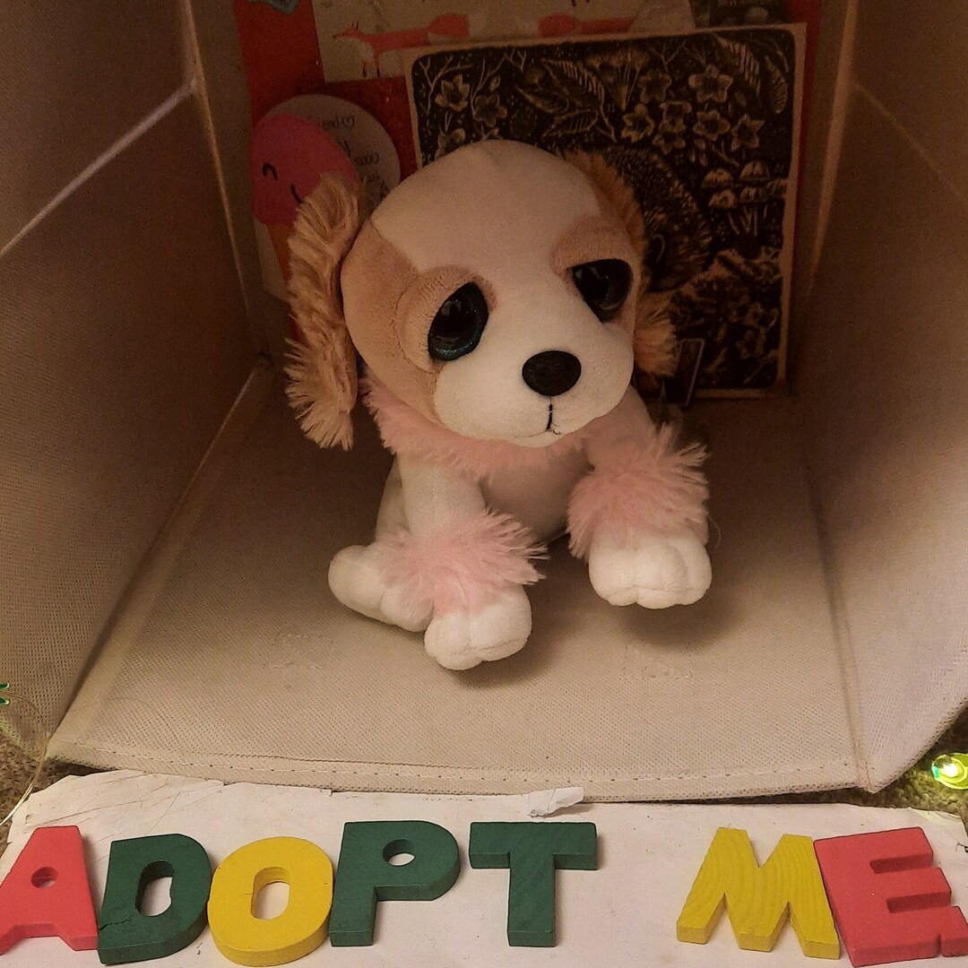 Floppy Eared Puppy Dog With Big Eyes for Adoption - Etsy