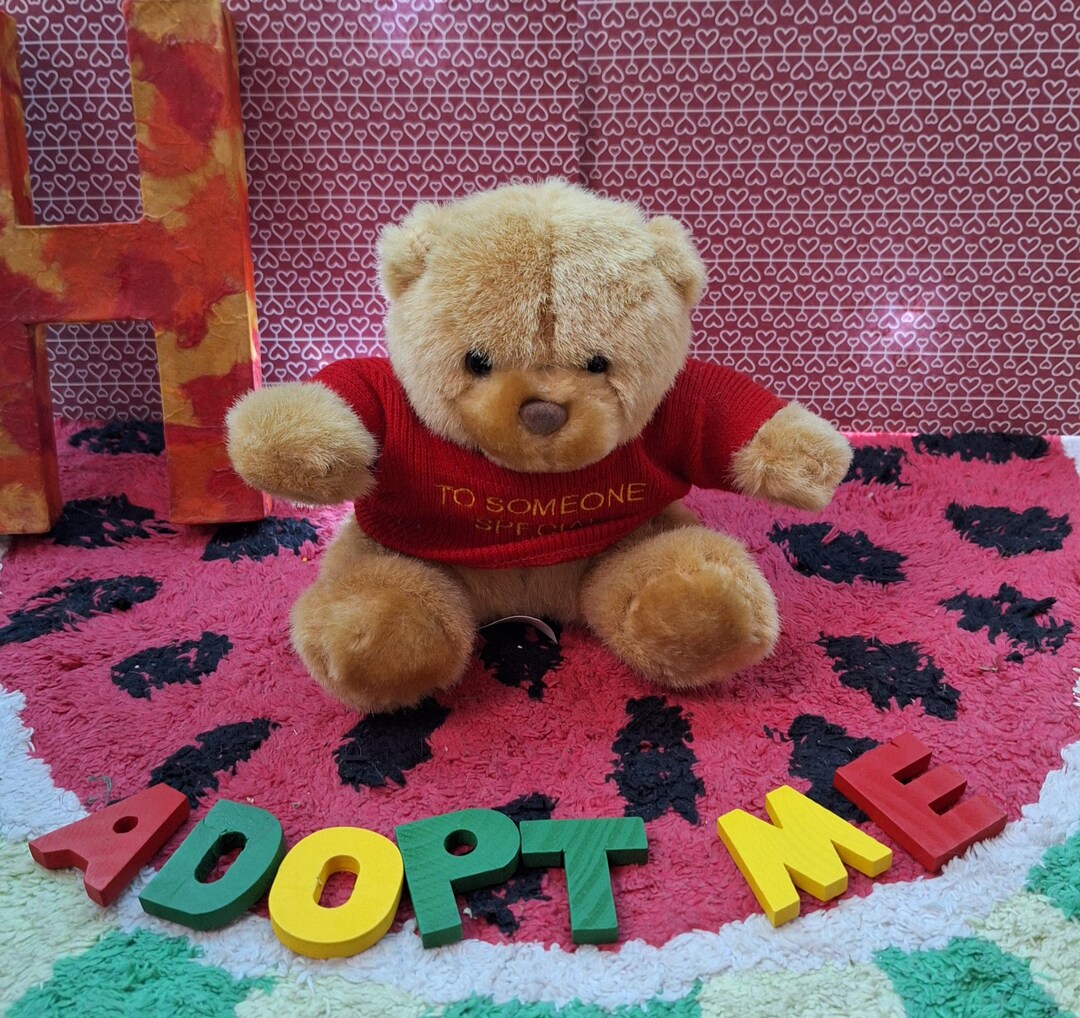 To Someone Special Teddy Bear for Adoption - Etsy