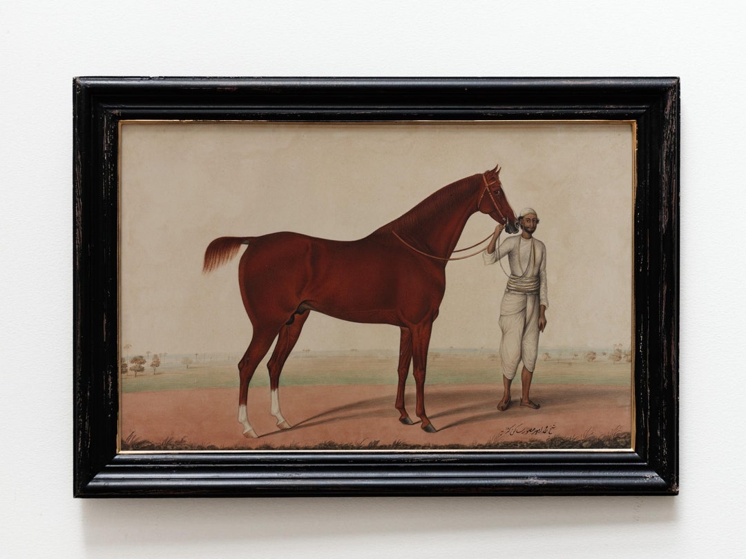 Vintage Mughal Horse Print - Antique 19th Century Indian Painting of a ...