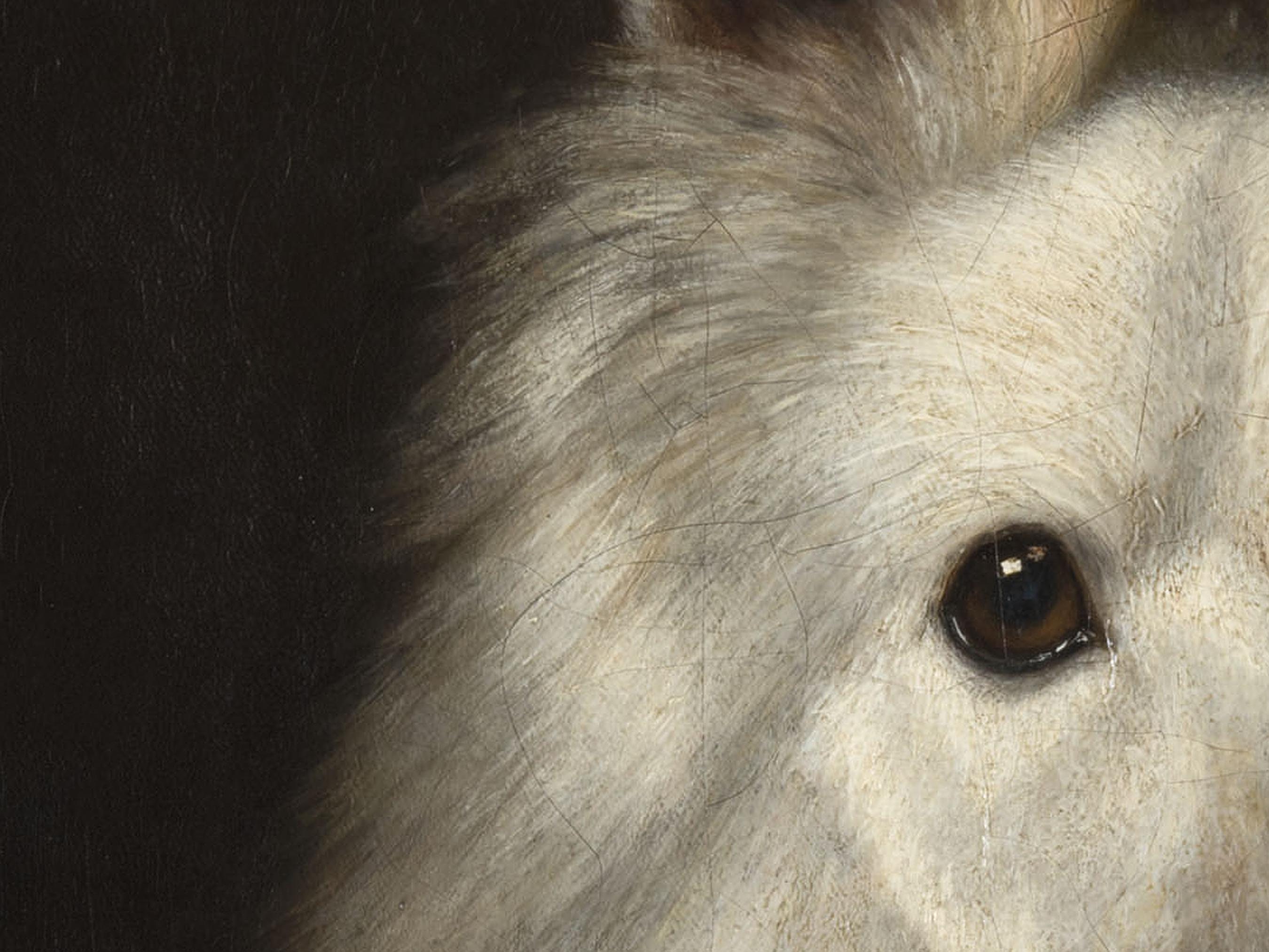 Antique Dog Print - Vintage Animal Oil Painting, Pet Dog Portrait ...