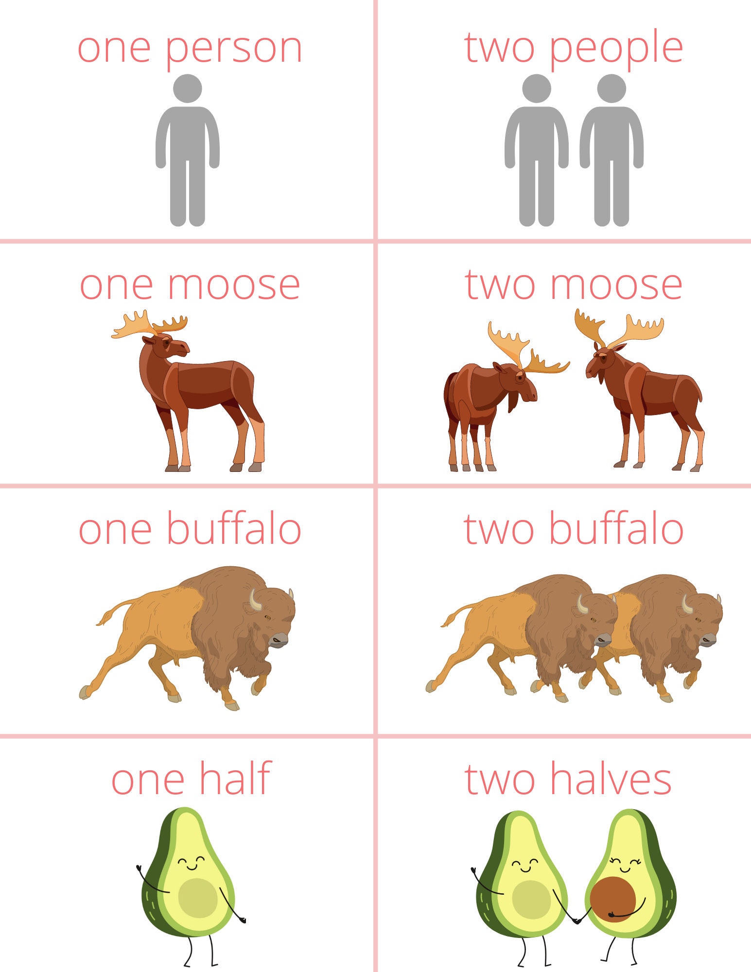 Irregular Plurals Bundle-printable Flashcards - Etsy