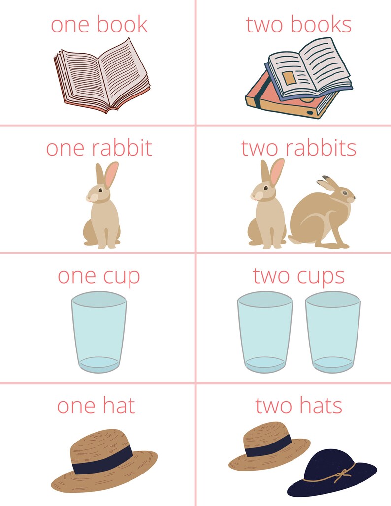 Regular Plurals Bundle-printable Flashcards - Etsy