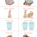 Regular Plurals Volume 1-printable Flashcards - Etsy