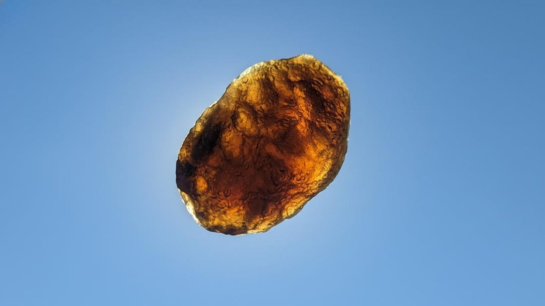 Saffordite, Cintamani, Third Eye Stone, Arizona Tektite, Highest Energy ...