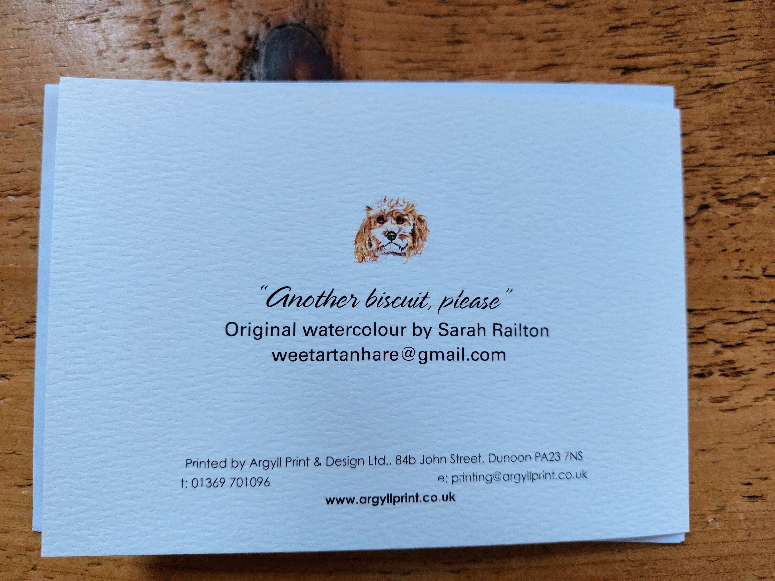 Blank Notelets With Envelopes. Cockapoo Puppy Dog pack of 4 - Etsy UK