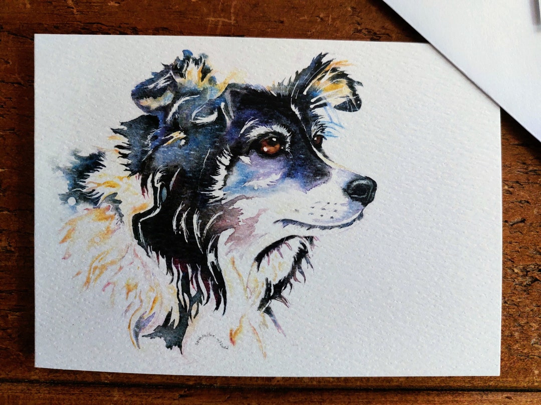 Blank Notelet(s) With Envelope(s). Welsh Border Collie Dog Puppy (pack ...