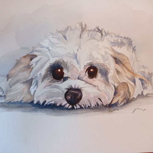 Vibrant Original Watercolour Cavachon Print on High Quality - Etsy