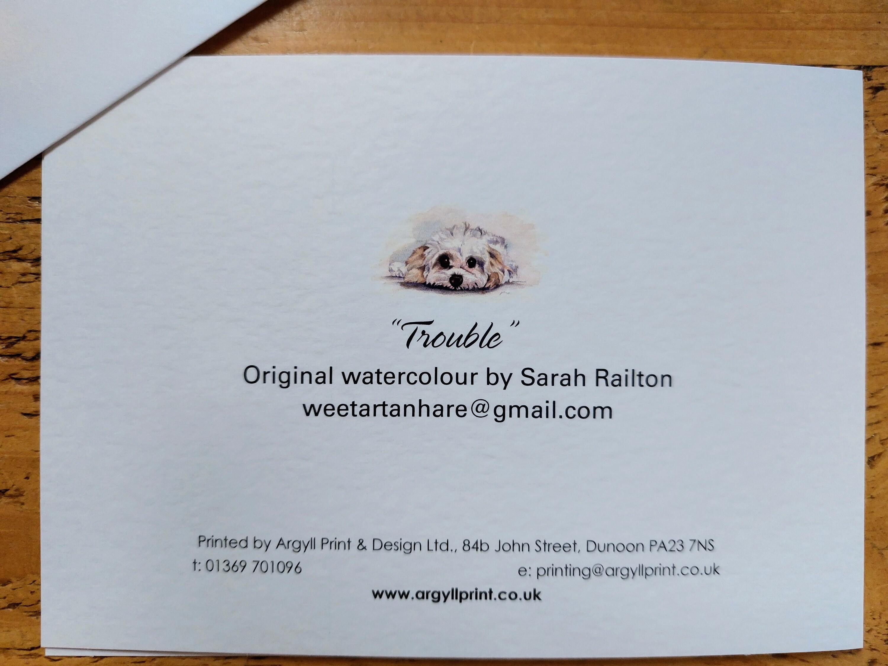 Blank Notelets With Envelopes. White Cavachon Puppy Dog pack of 4 - Etsy