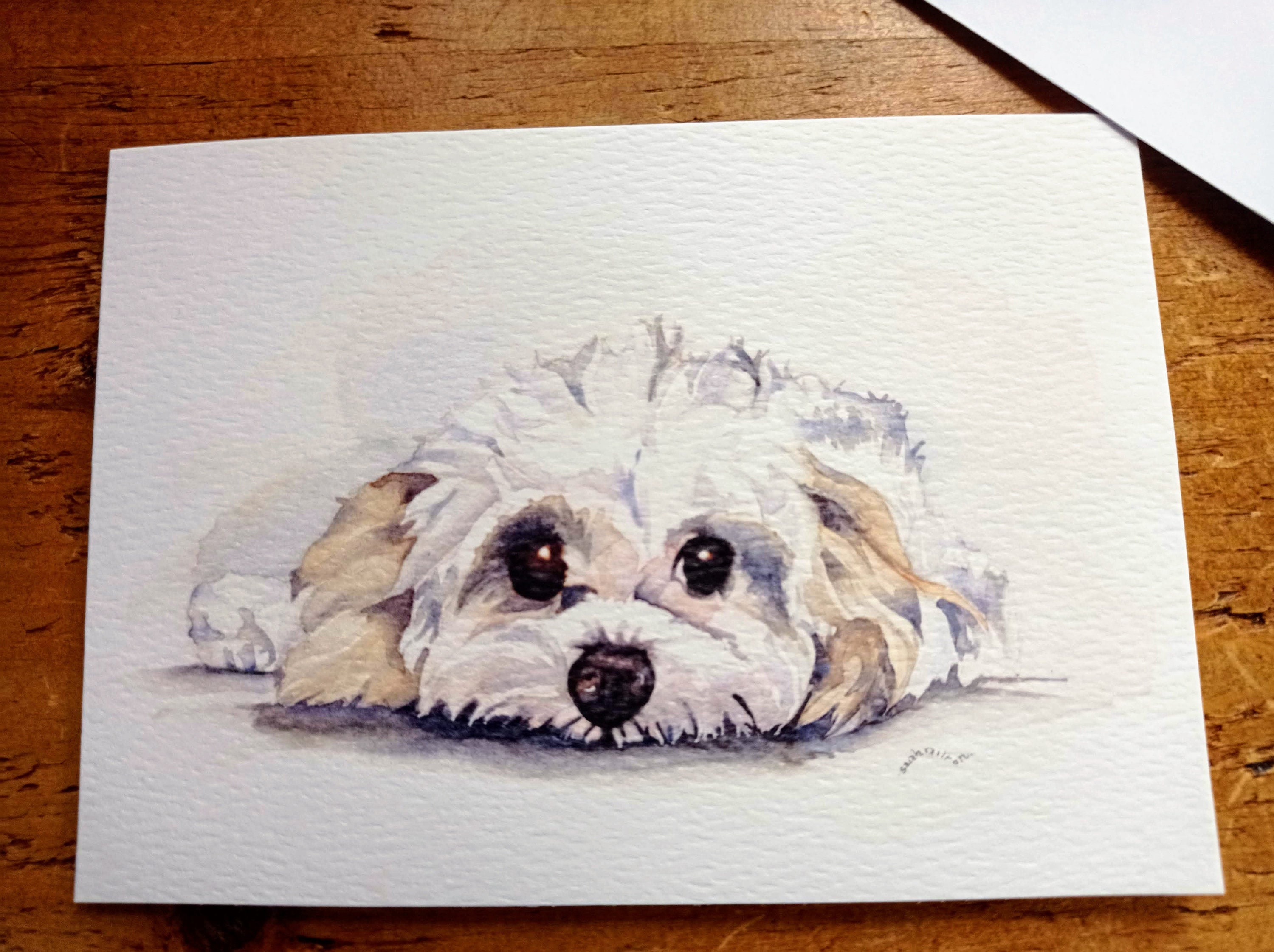 Blank Notelets With Envelopes. White Cavachon Puppy Dog pack of 4 - Etsy