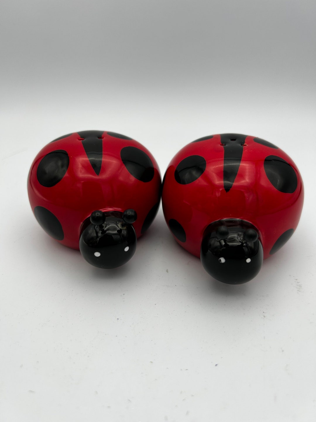 Adorable Hand Painted Ceramic Lady Bug Salt & Pepper Shakers With Wire ...