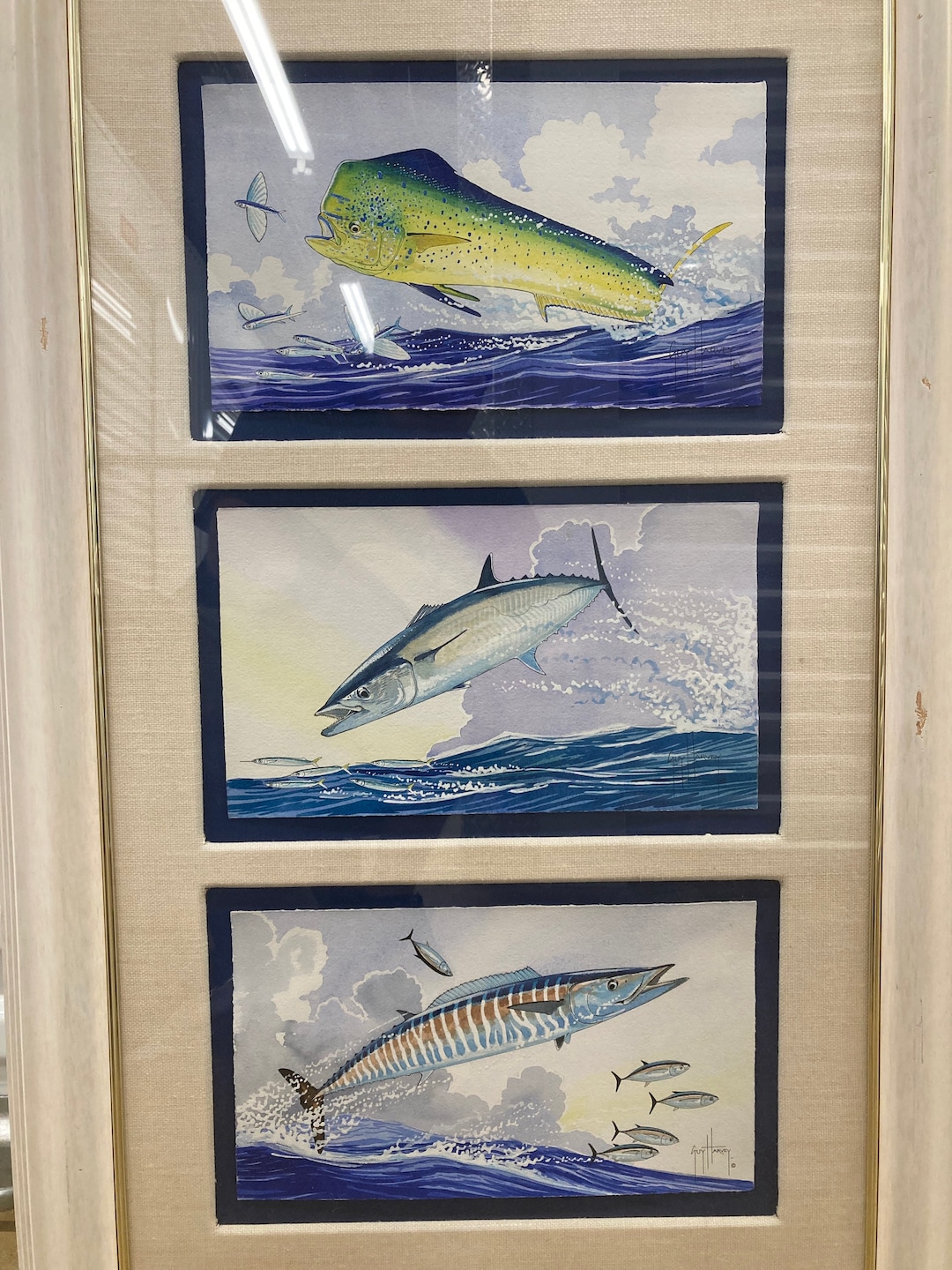 Guy Harvey Original Watercolors inshore Slam Trio Piece - Etsy