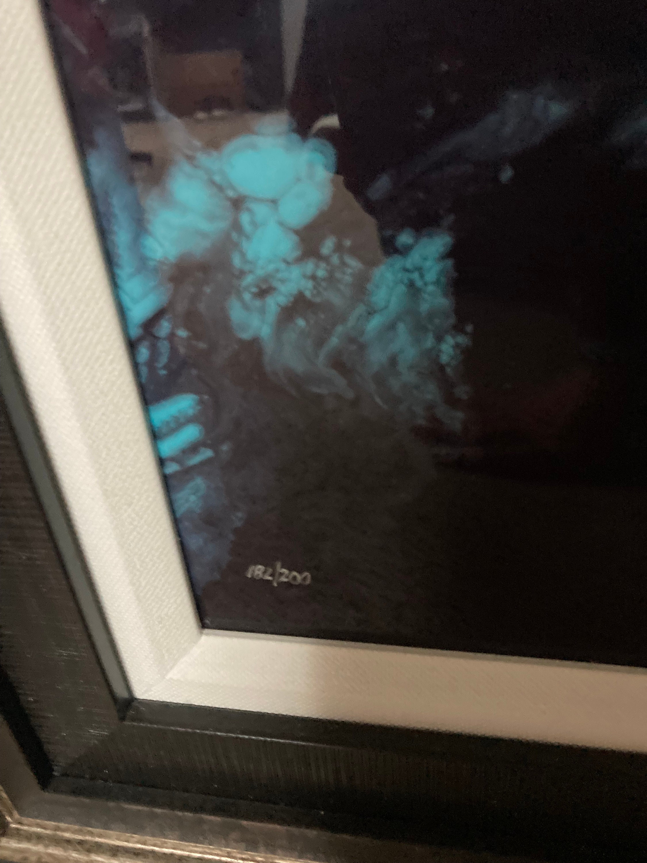 Ashton Howard Dye Sublimation “into the Wild” - Etsy