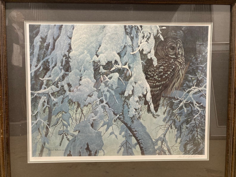 Robert Bateman “snowy Hemlock Barred Owl“ Lithograph S/n - Etsy