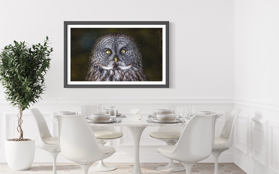 Great Grey Owl - Etsy