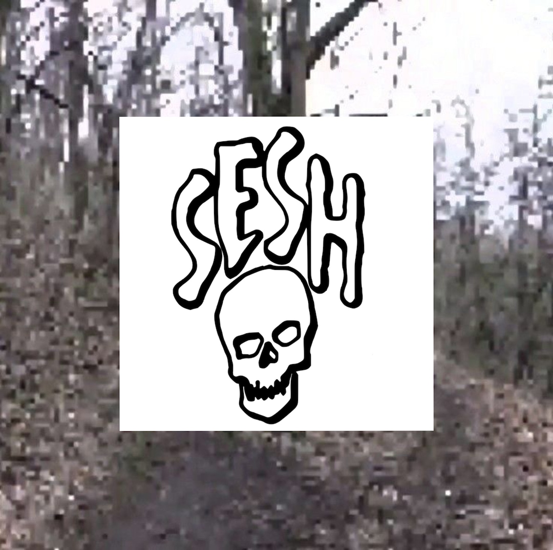 Sesh Bones Decal - Etsy