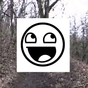 Epic Face Emoji Decal - Etsy