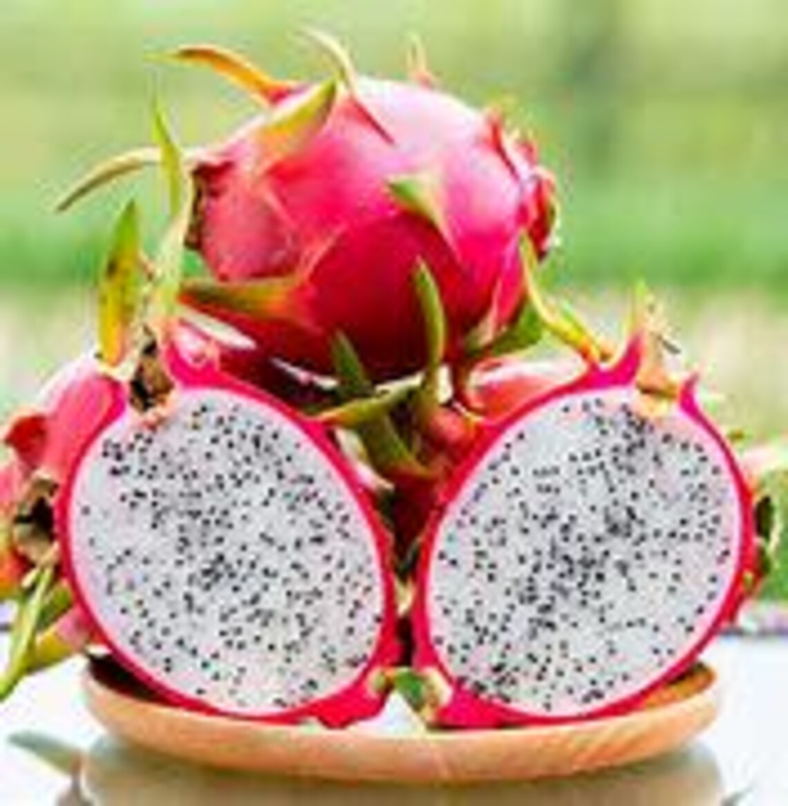 White Dragon Fruit Tree - 3 Gal, 2-3 Feet - Exotic Garden Addition-no ...