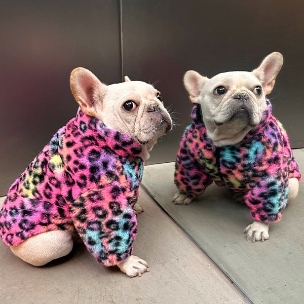 Frenchie Clothes - Etsy