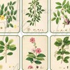 PRINTABLE List of Over 1200 Baby Names for Girls, A to Z Name Ideas for ...
