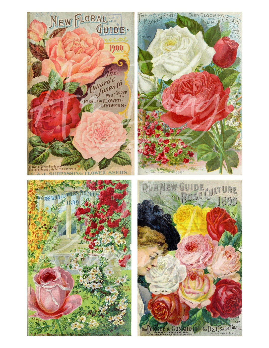 Digital Antique Seed Packet Labels Collage Sheet, Printable Vintage ...