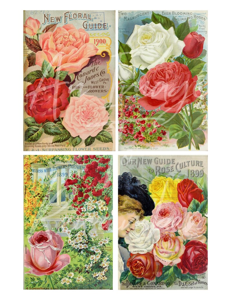 Digital Antique Seed Packet Labels Collage Sheet, Printable Vintage ...