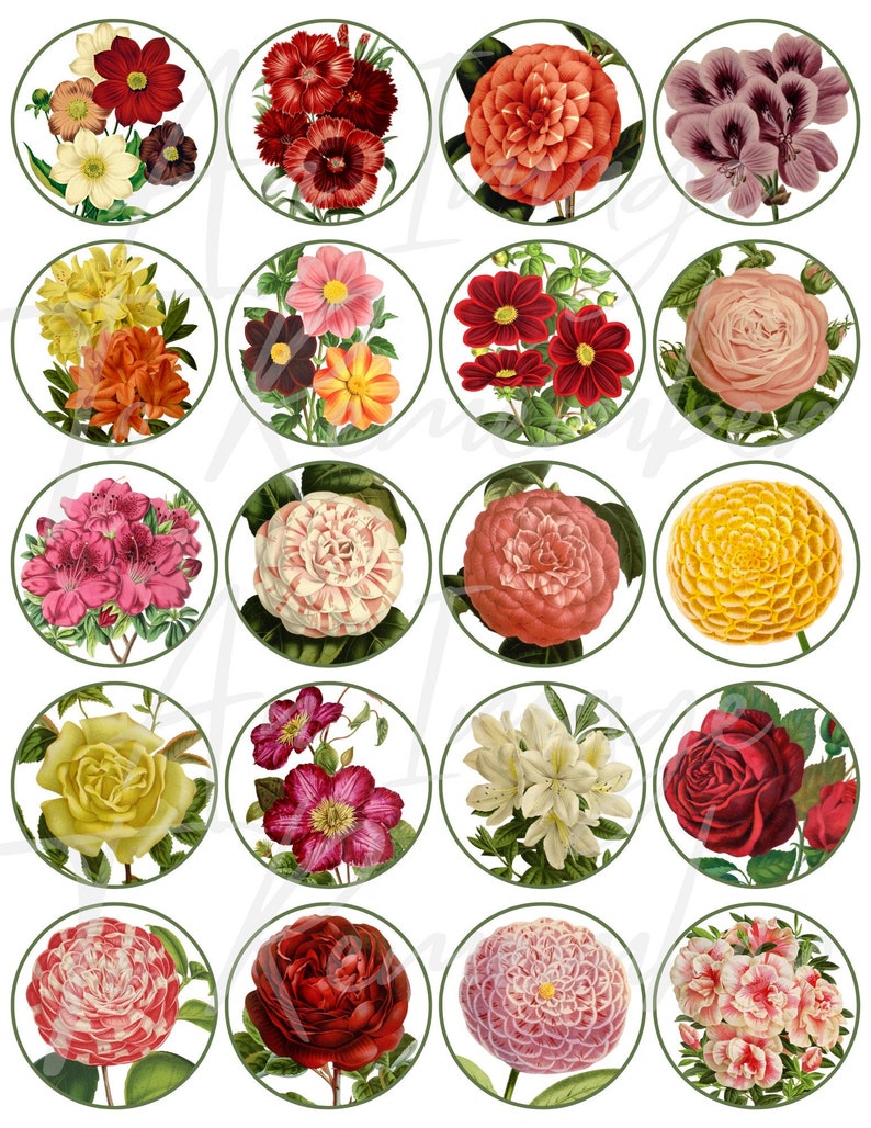 Digital Antique Flower Gift Tags, 20 Printable Circles, Instant ...