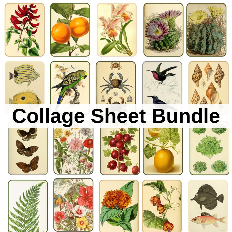 Collage Sheet - Etsy