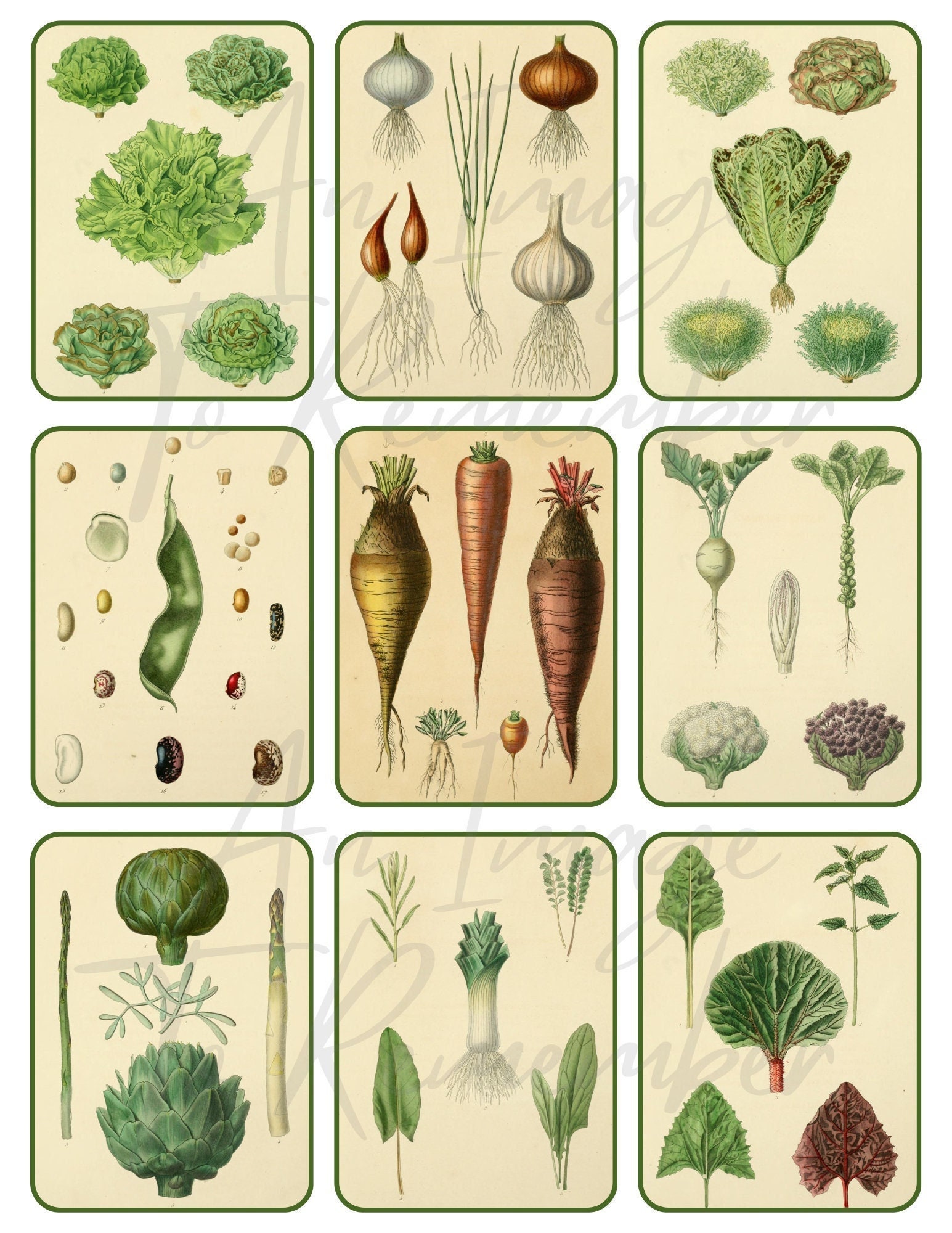 Digital Antique Veg Collage Sheet, 1 Printable Sheet of 9 Mixed ...