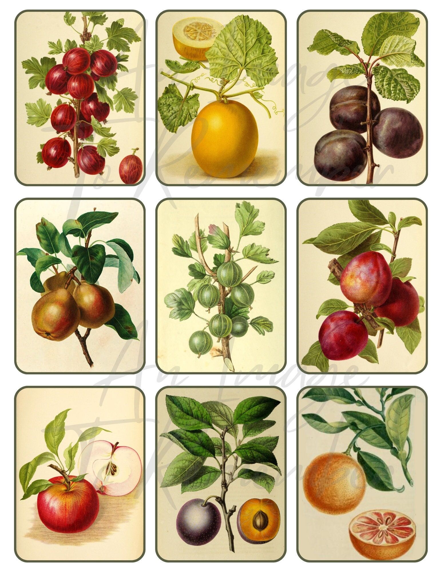 Digital Antique Fruit Collage Sheet, 1 Printable Sheet of 9 Fruit ...