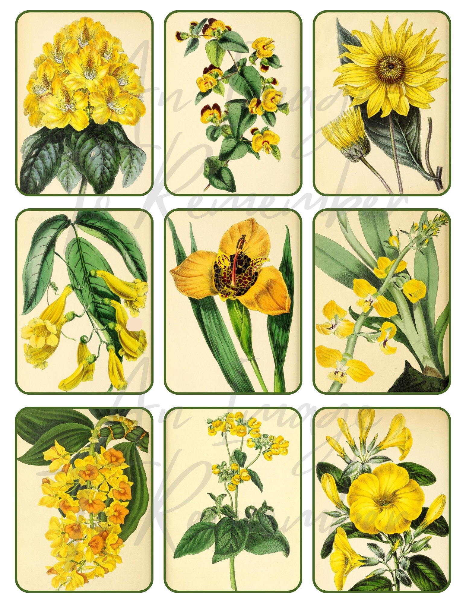 Digital Antique Flower Collage Sheet, 1 Printable Sheet of 9 Yellow ...