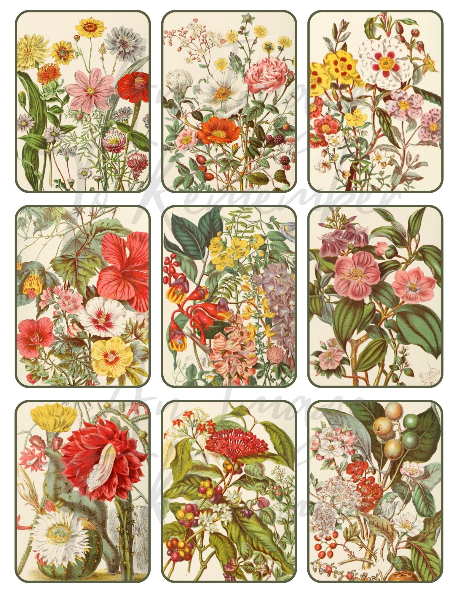 Digital Antique Flower Collage Sheet, 1 Printable Sheet of 9 Mixed Wild ...