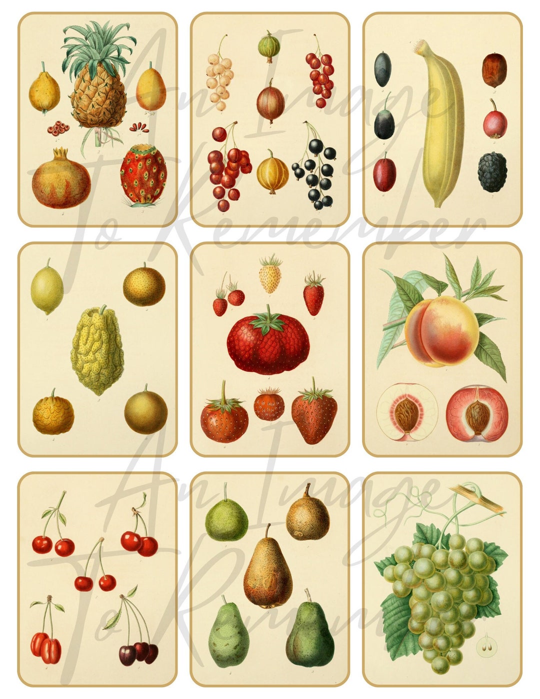 Digital Antique Fruit Collage Sheet, 1 Printable Sheet of 9 Images ...