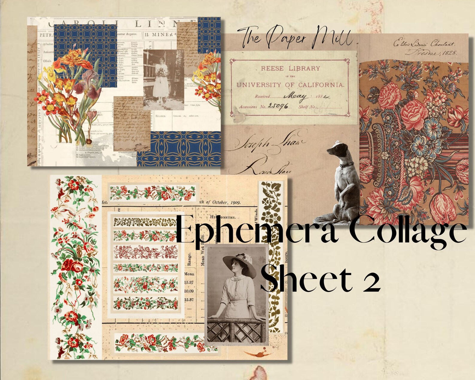 Ephemera Collage Printable Collection Digital Download Antique Papers ...