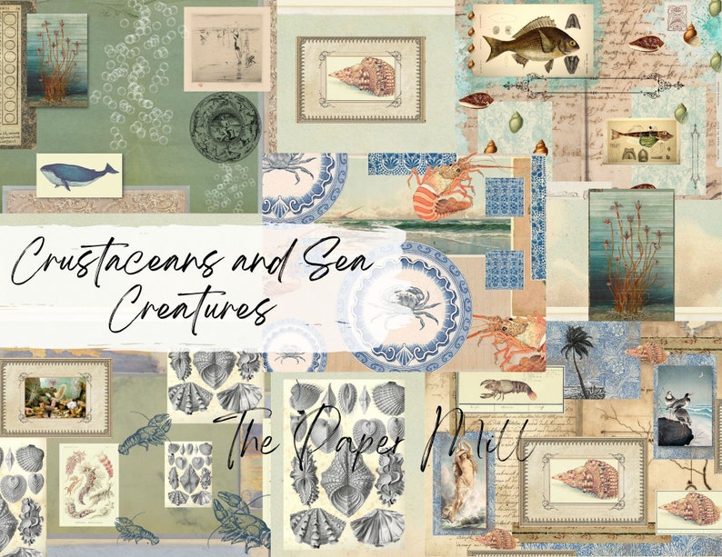 Vintage Crustaceancore and Sea Creature Journal, Printable, Digital ...