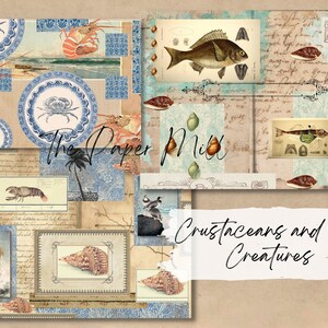 Vintage Crustaceancore and Sea Creature Journal, Printable, Digital ...