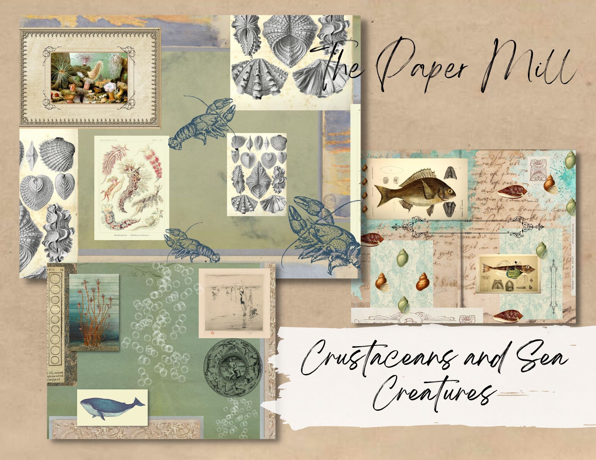 Vintage Crustaceancore and Sea Creature Journal, Printable, Digital ...