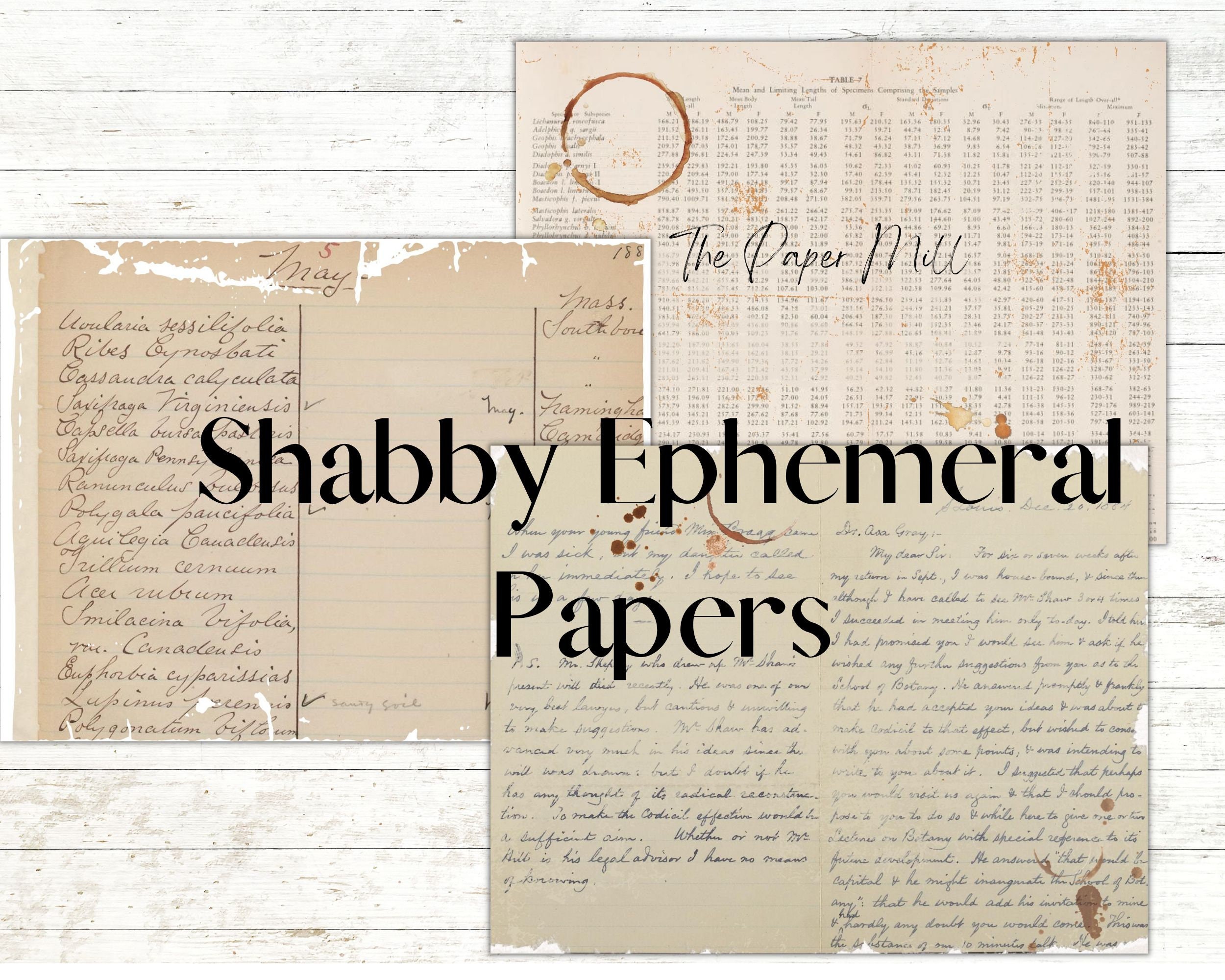 Shabby Antique Ephemeral Papers Junk Journal Kit, Grungy Vintage ...