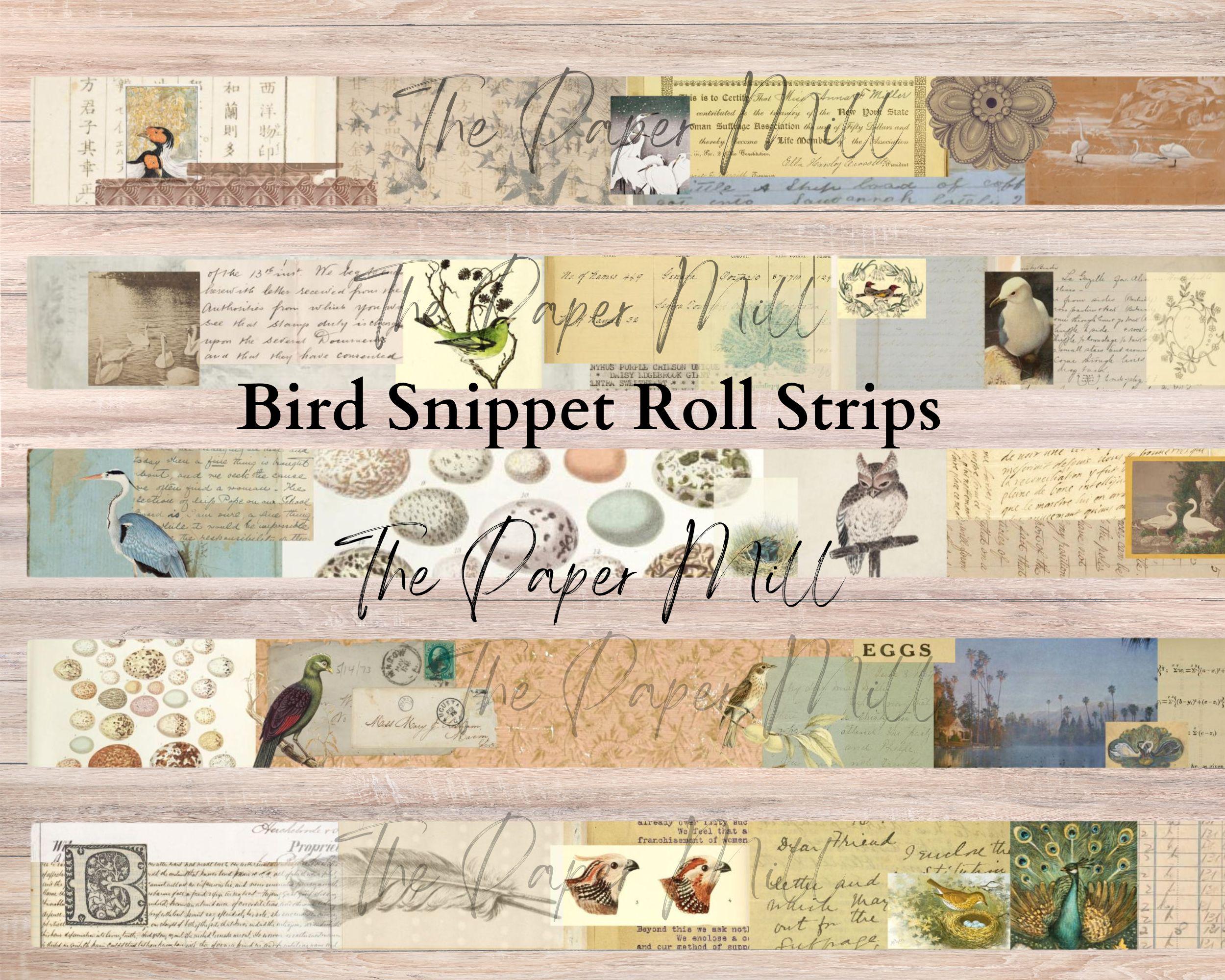 Junk Journal Digital, Bird Snippet Roll Strips, Belly Bands, Faux Washi ...